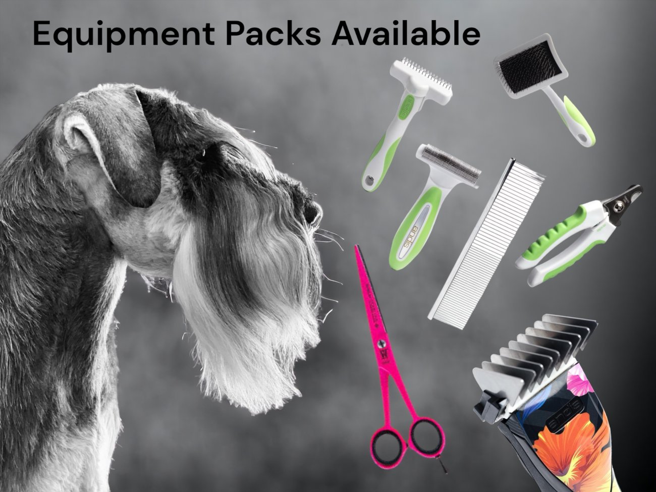 All Inclusive Professional City & Guilds Dog Grooming Course Midlands ...