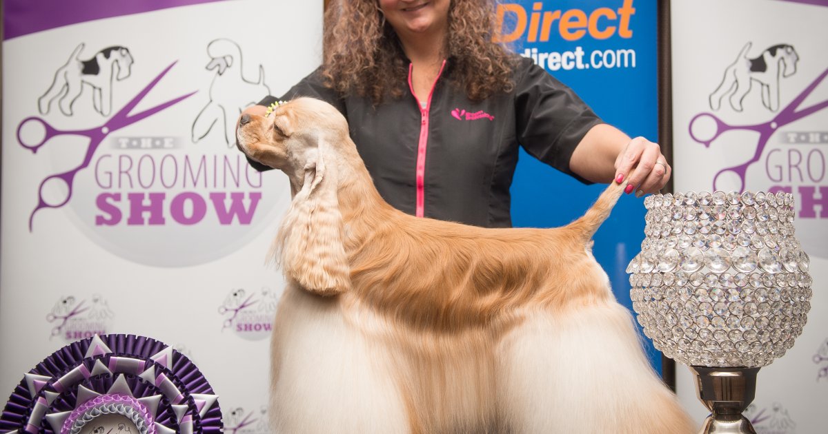 Best All Round Groomer at The Grooming Show 2018 | Just4Paws