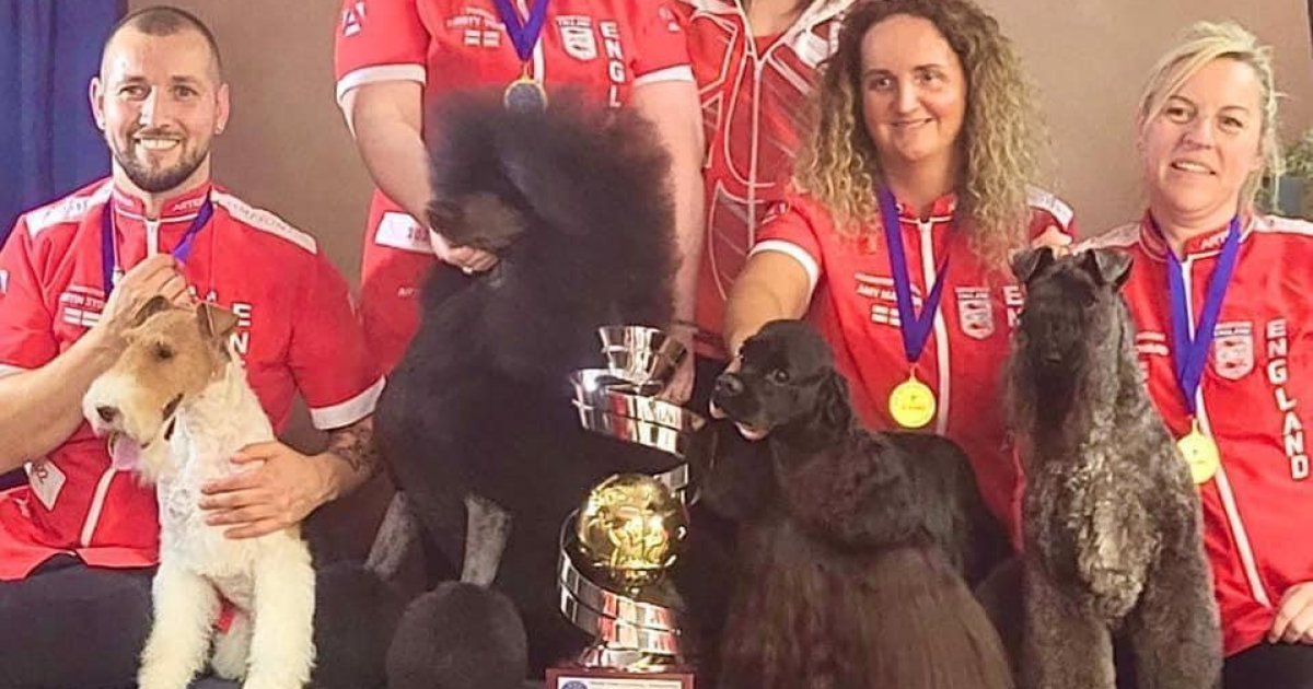 Groom Team England Takes Gold | Just4Paws