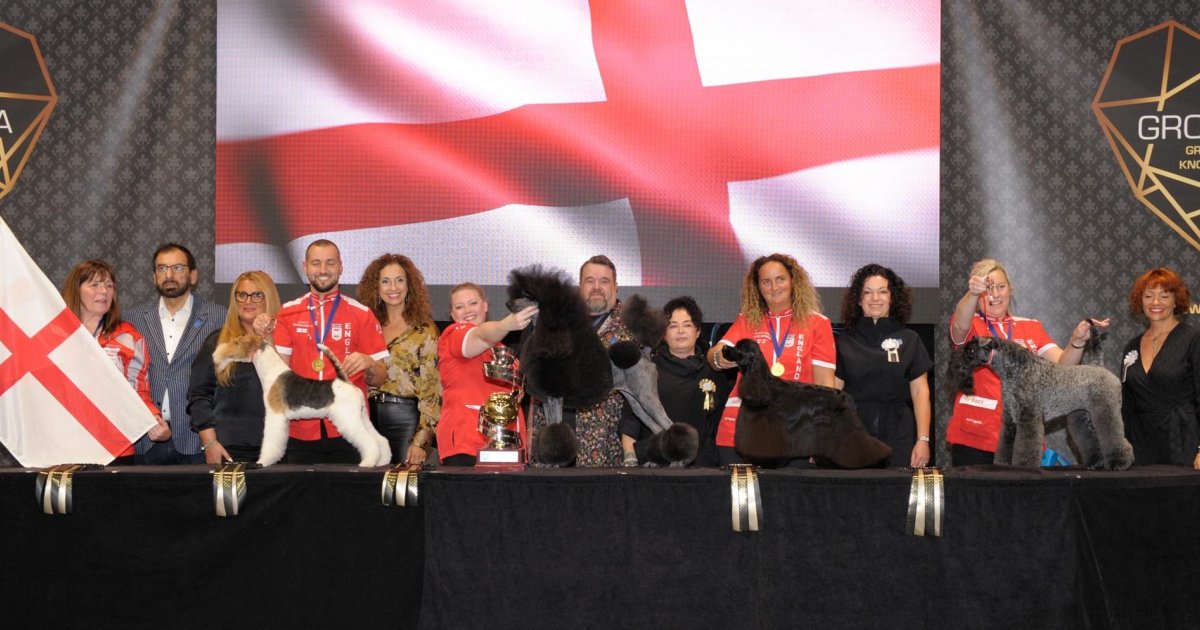 World Grooming Competition Photo | Just4Paws