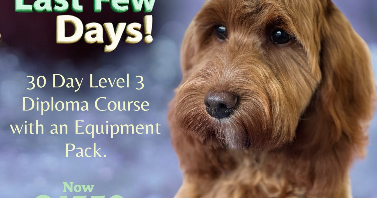 The BIG December sale is nearly over !! | Just4Paws